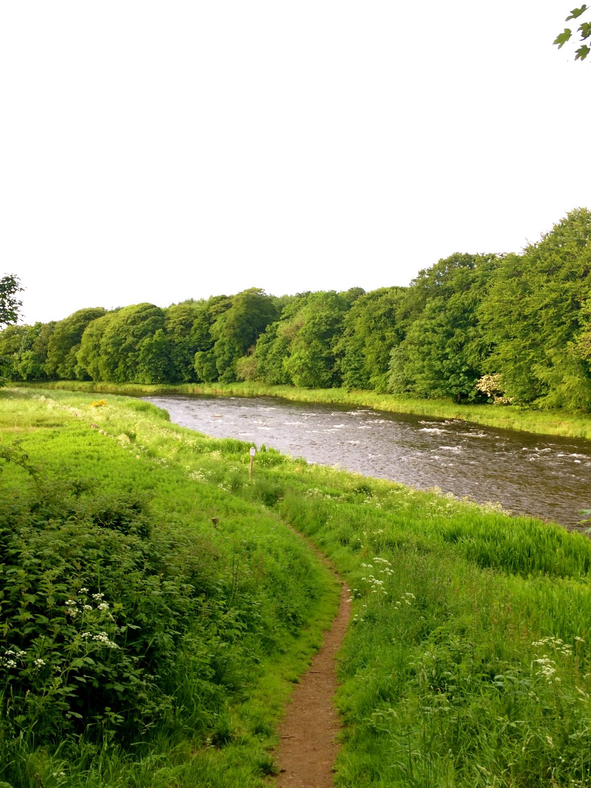 NATURE CLAN – The Beauty of Our Nature